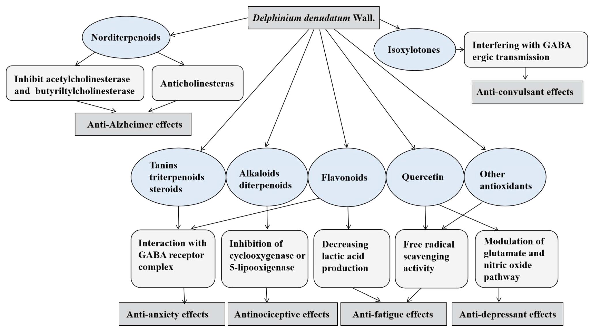 网刊加载中。。。