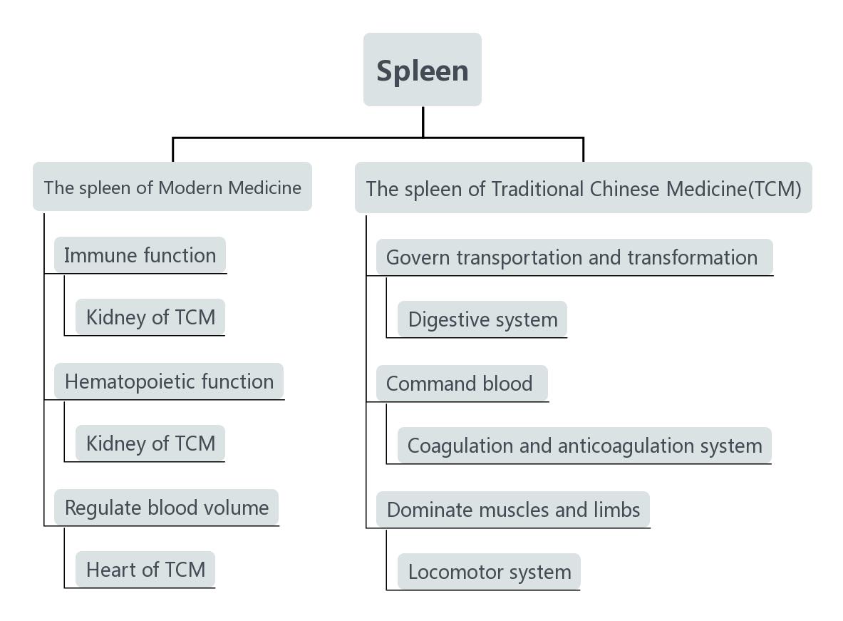 Medical Theory and Hypothesis
