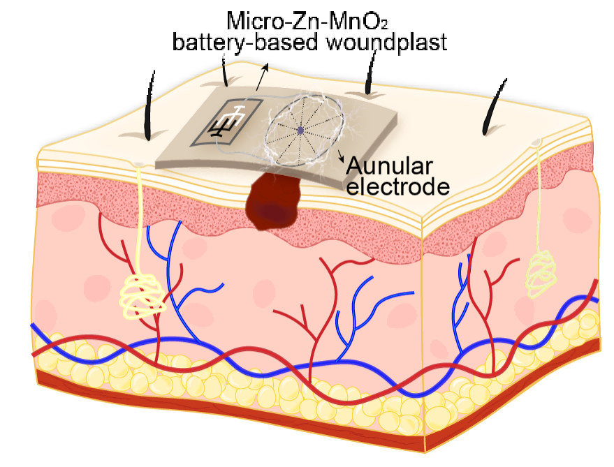Biomedical Engineering Communications